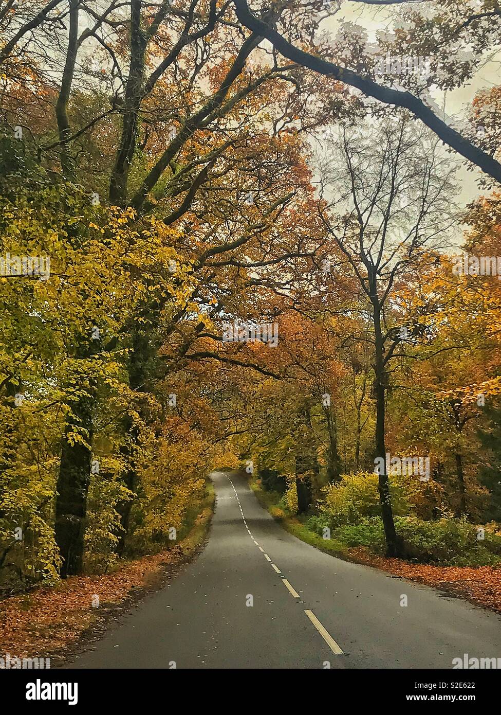Country Roads in the Autumn Stock Photo - Alamy