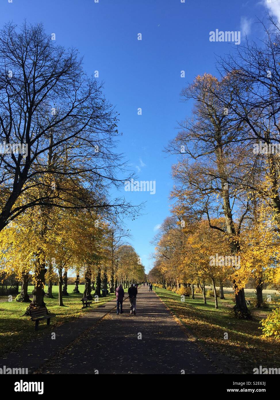 Snakes Lane, Trent Country Park Stock Photo - Alamy