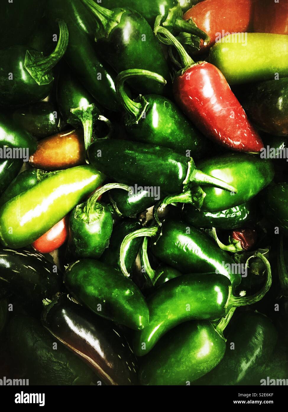 Assortment of fresh jalapeño peppers Stock Photo - Alamy