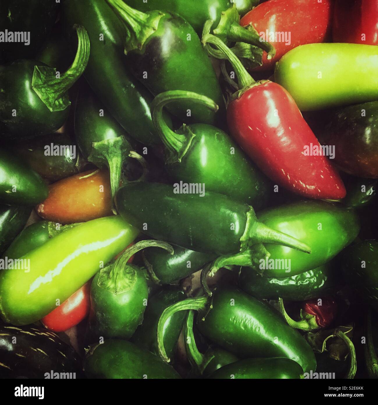 Jalapeño peppers of different colours. Square crop Stock Photo - Alamy