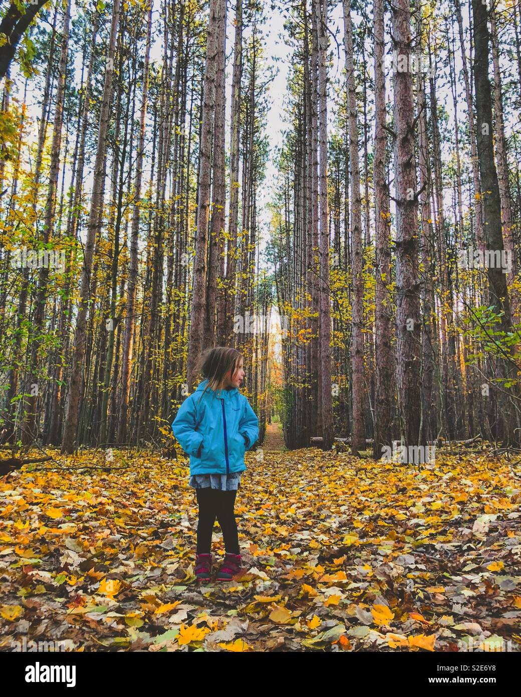 Wandering autumn hi-res stock photography and images - Alamy
