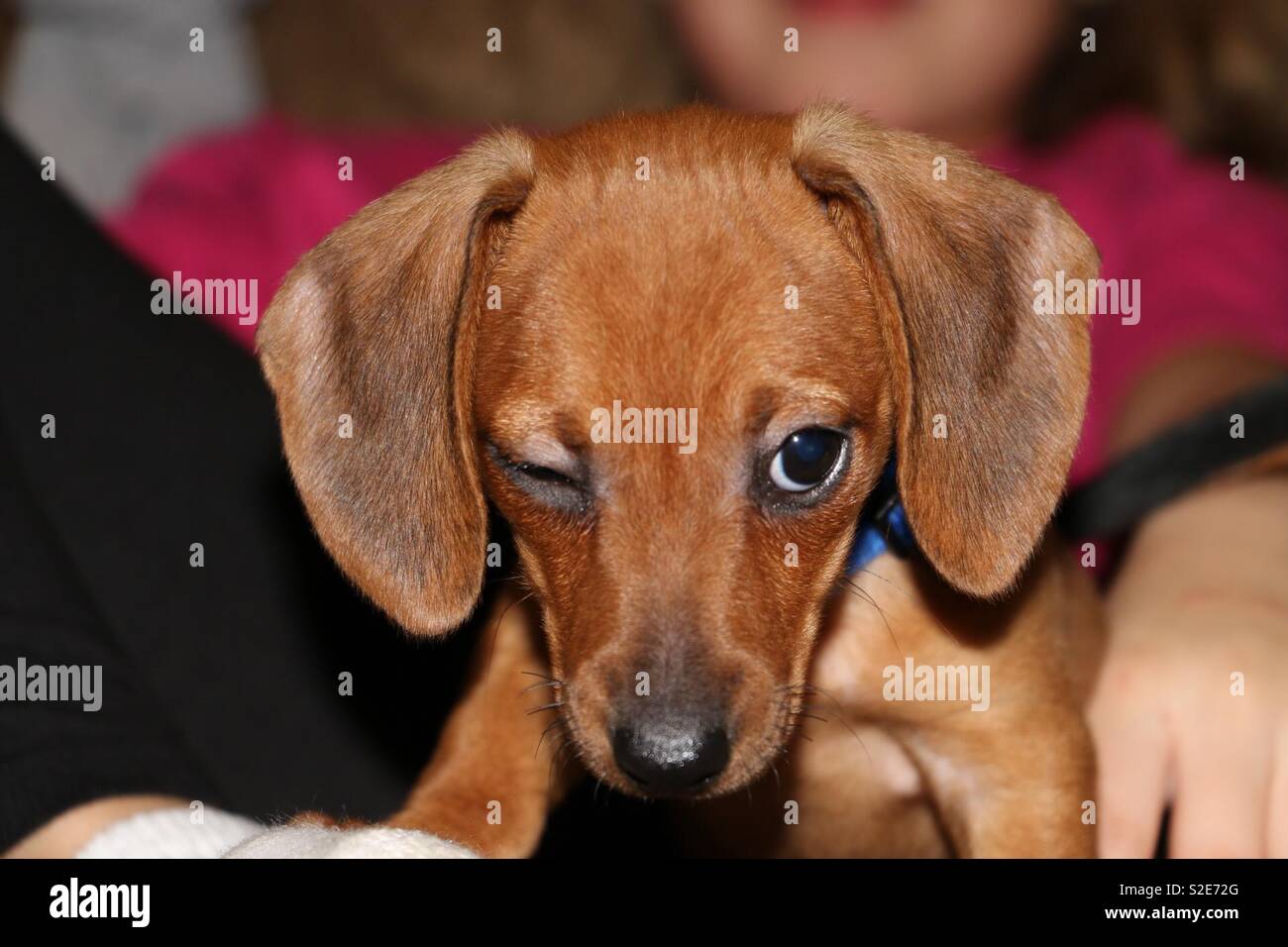 Winking hi-res stock photography and images - Alamy