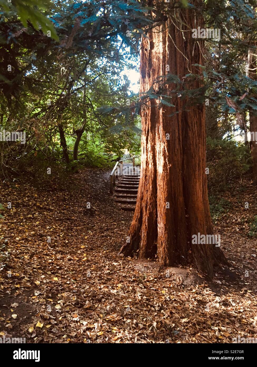 Hidden path hi-res stock photography and images - Alamy
