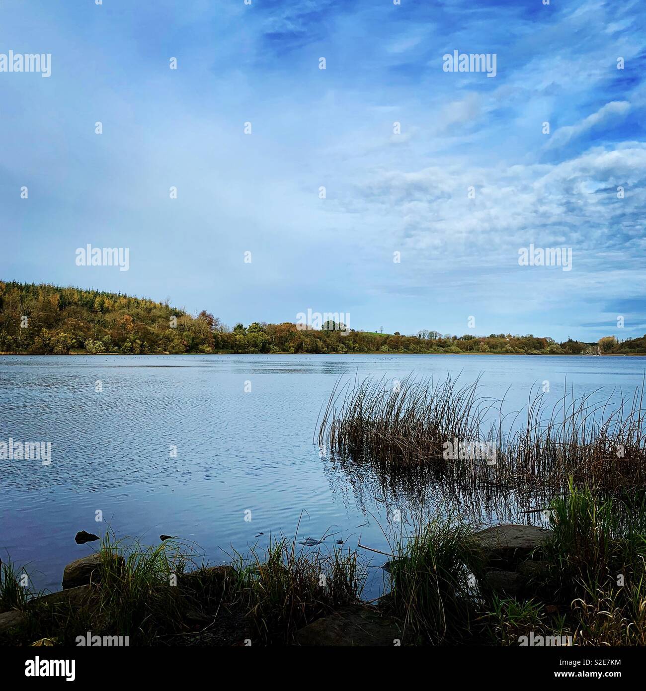 Cavan hi-res stock photography and images - Alamy