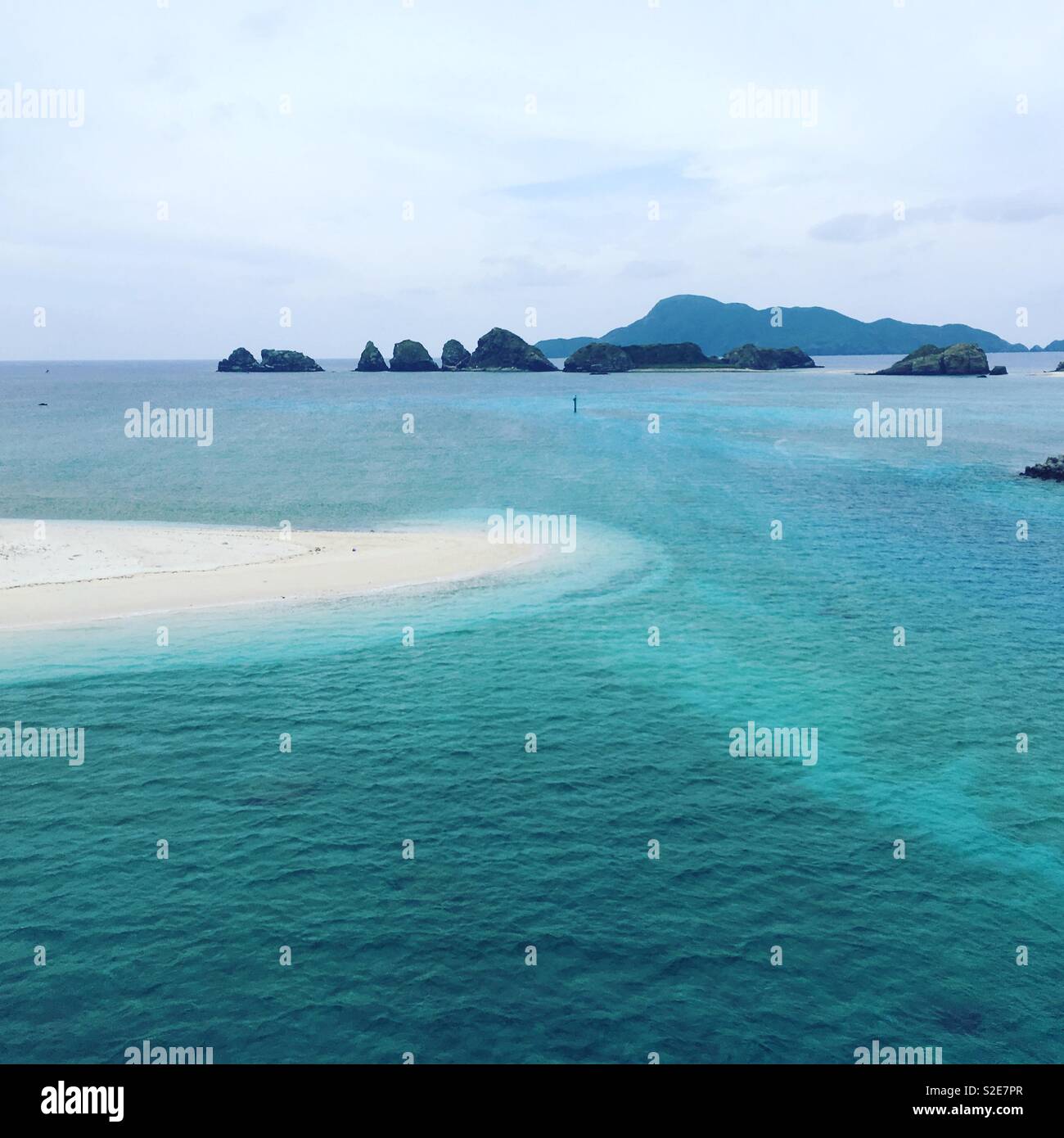 White hopping hi-res stock photography and images - Alamy