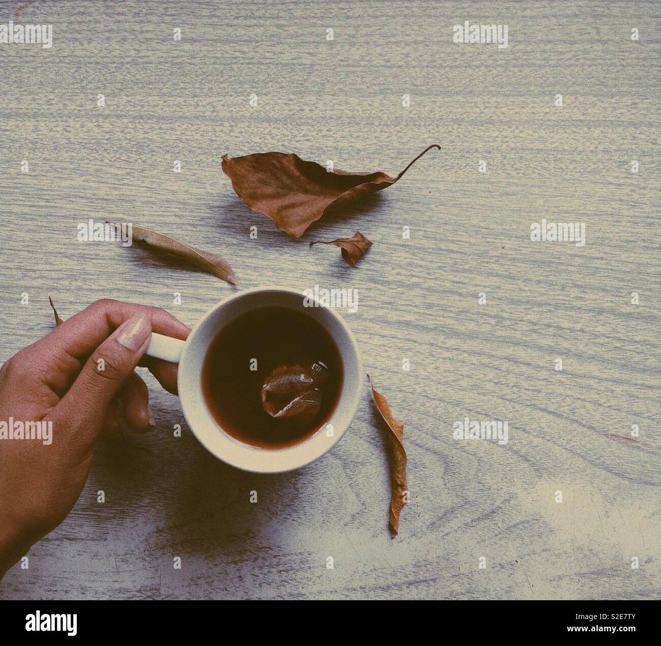 Aesthetic autumn hi-res stock photography and images - Alamy