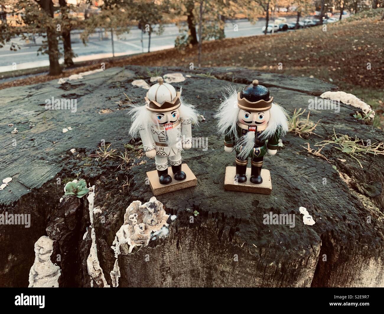 Two small nutcrackers standing on a tree stump Stock Photo - Alamy