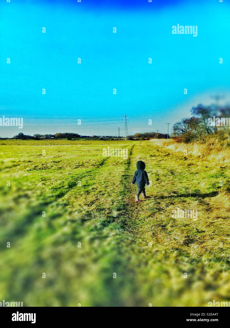 My gorgeous main man Stock Photo - Alamy