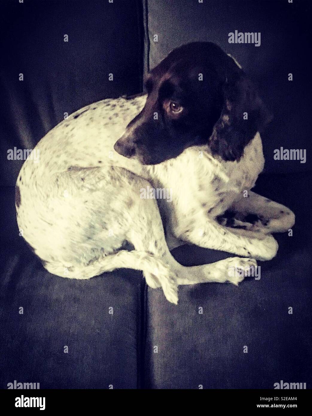 This is my good side Stock Photo - Alamy