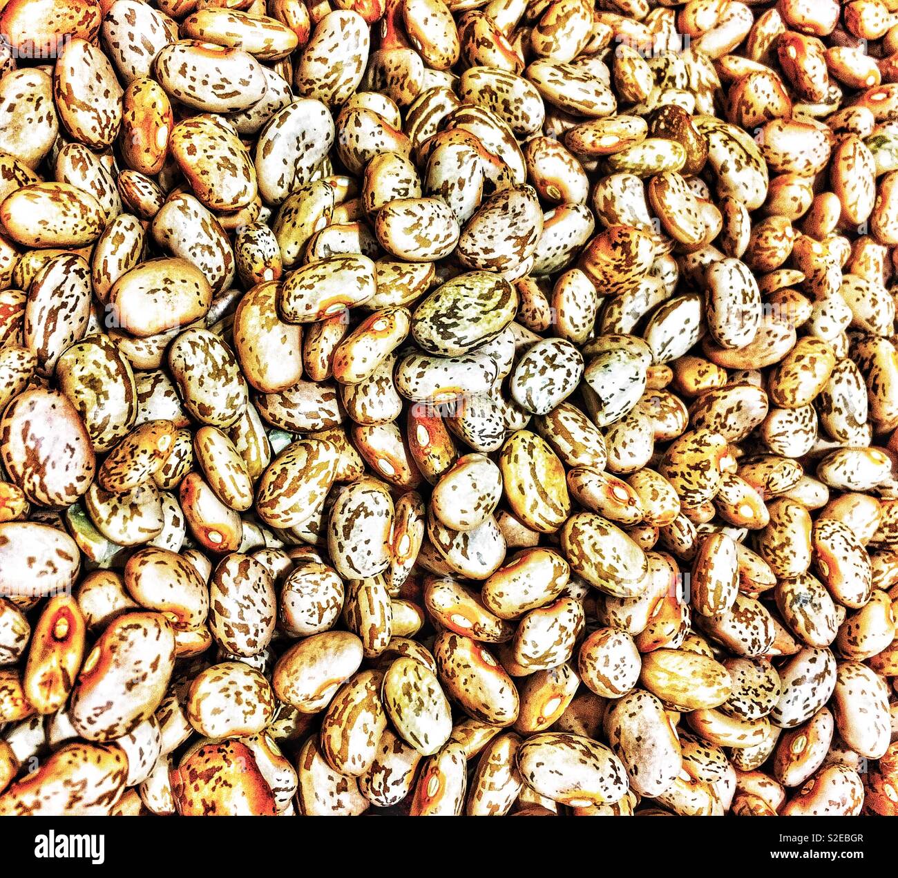 Enhanced photo of pinto beans Stock Photo - Alamy