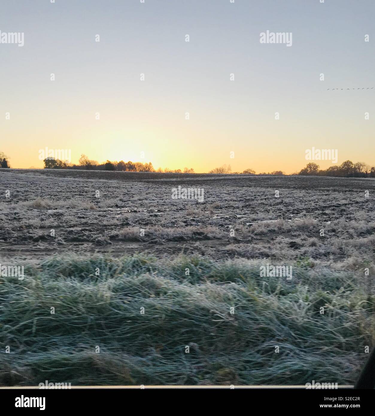 Farm frost hi-res stock photography and images - Alamy