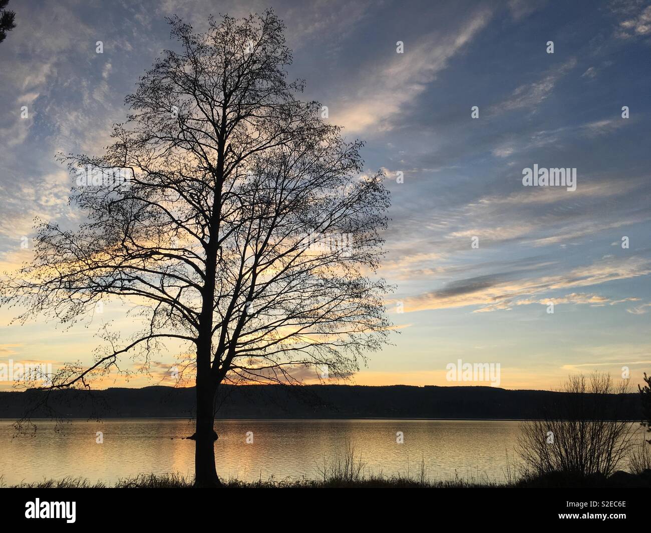 Lonely tree landscape hi-res stock photography and images - Alamy