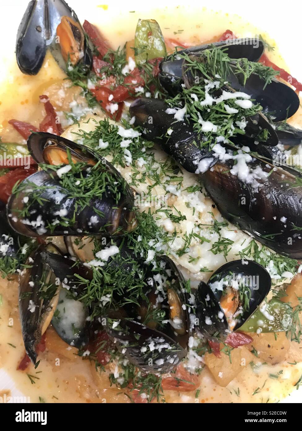 Homemade cod & muscle stew. My food . Taken in Kenley Stock Photo - Alamy