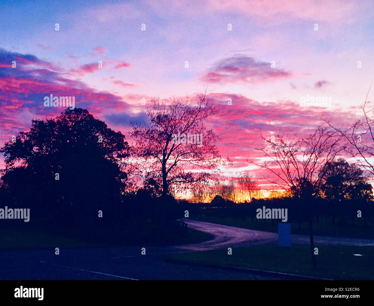 Sunrise over trees Stock Photo - Alamy