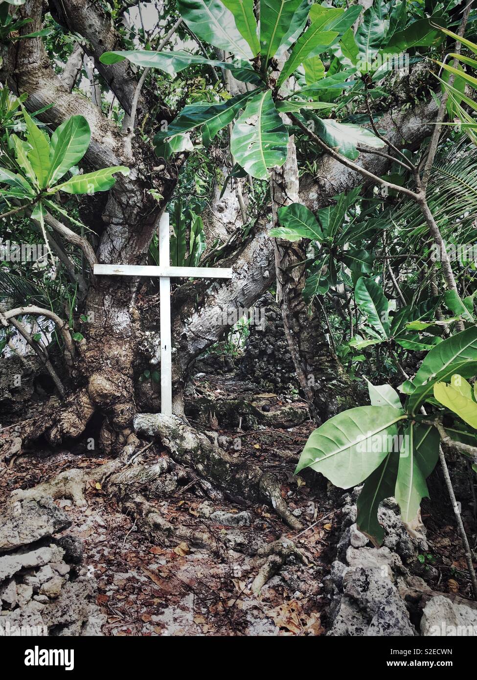 Cross in a tropical woods Stock Photo - Alamy