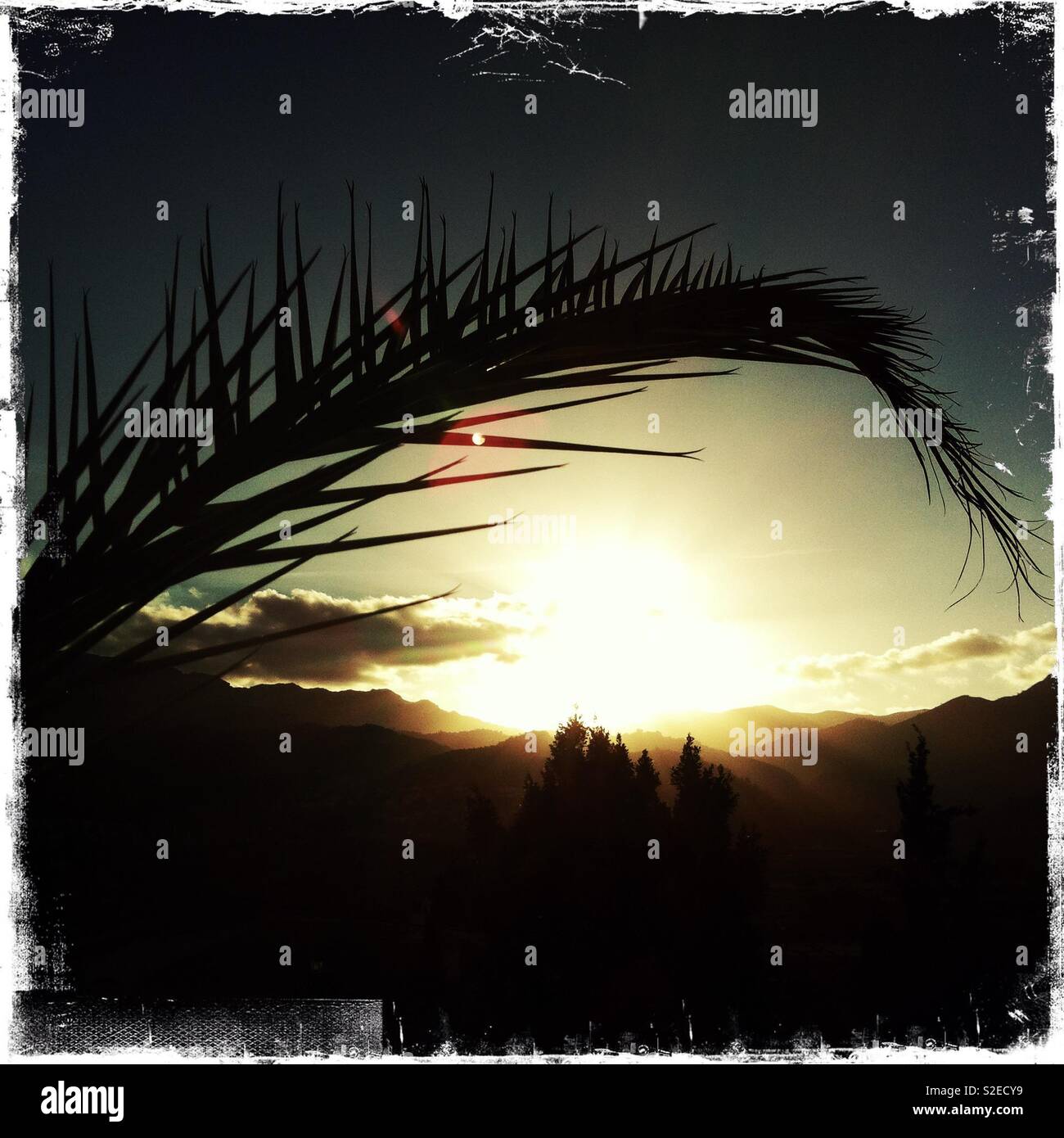 Orba hi-res stock photography and images - Alamy