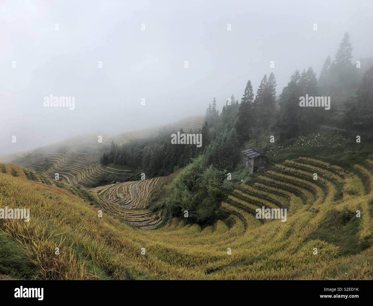 Longji hi-res stock photography and images - Alamy
