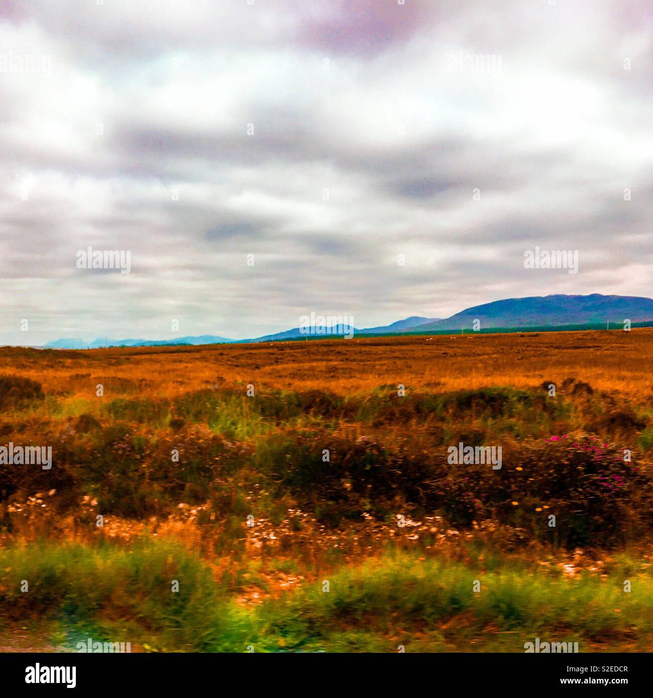 Peat fields hi-res stock photography and images - Alamy
