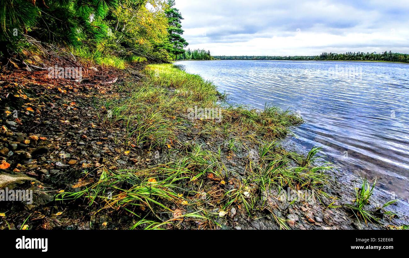 Beautiful River shoreline Stock Photo - Alamy