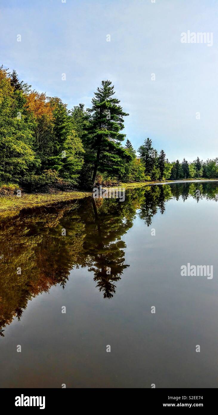 Reflection of river shoreline Stock Photo - Alamy