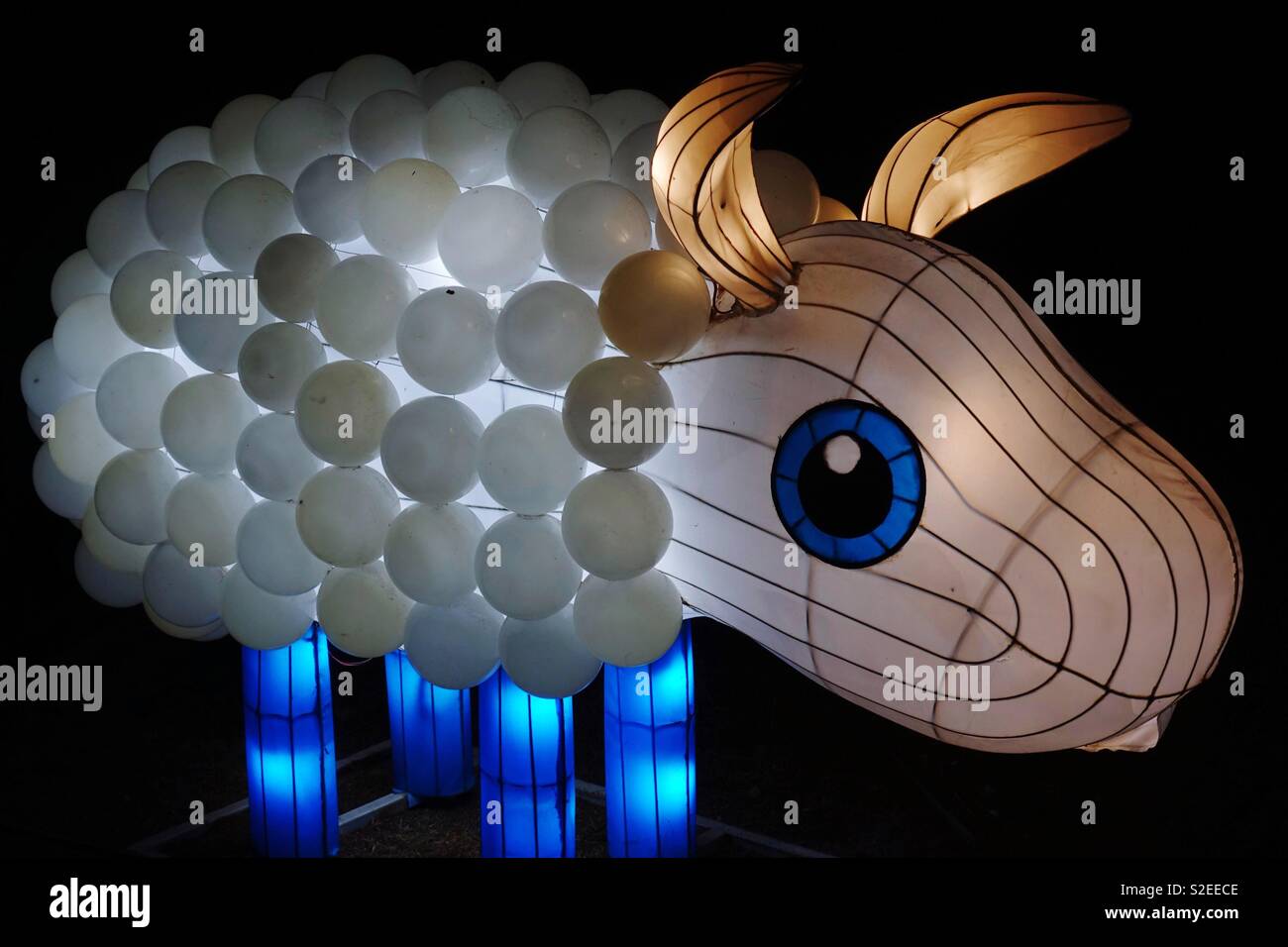 Glow in the dark - a single sheep Stock Photo - Alamy