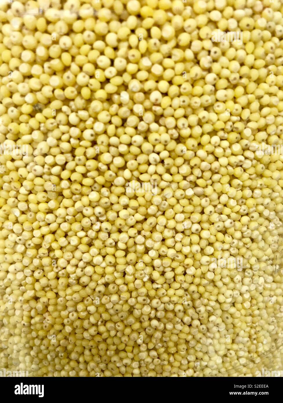 Millet food hi-res stock photography and images - Alamy