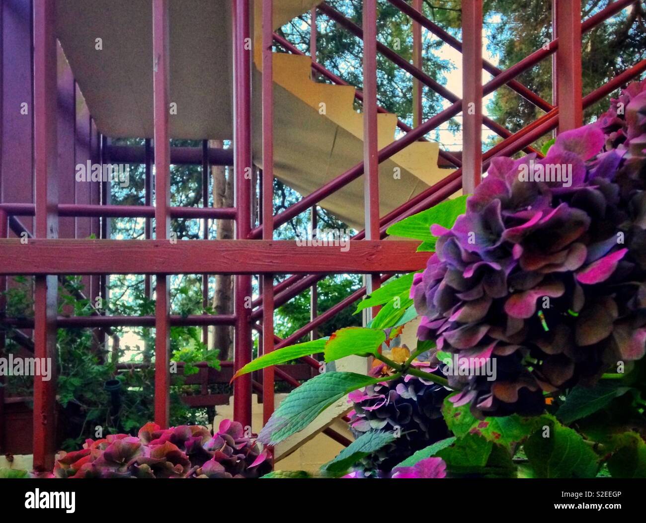 Red railings and yellow staircase of outdoor Seattle apartment building ...