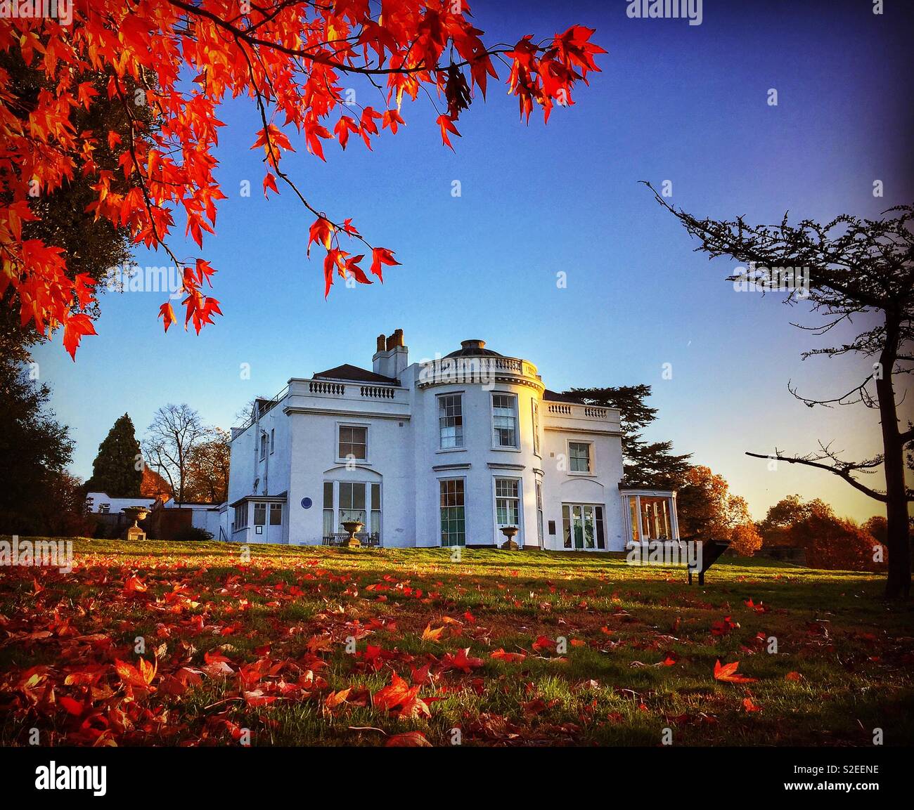 Norwood grove hi-res stock photography and images - Alamy