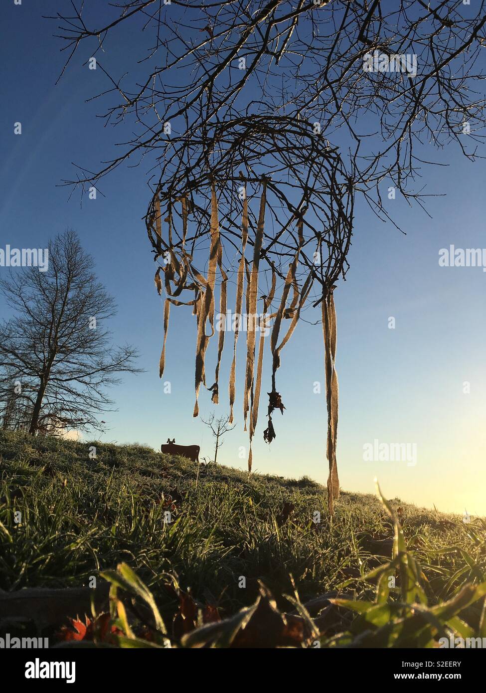 Tree art hi-res stock photography and images - Alamy