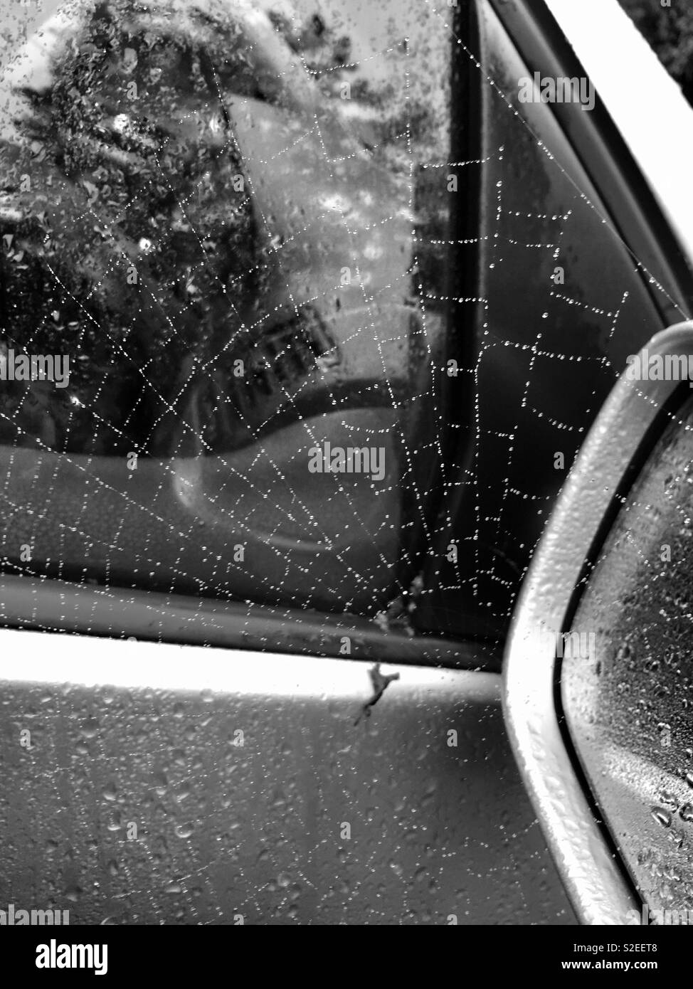 Spider web car hi-res stock photography and images - Alamy
