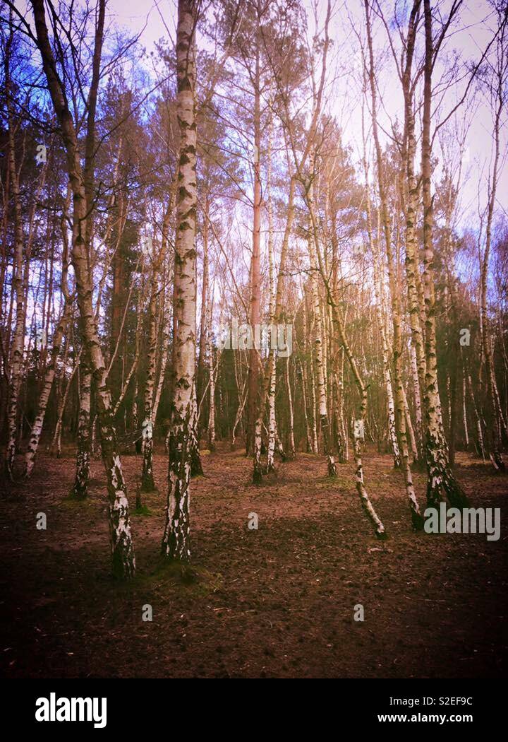 Horsell hi-res stock photography and images - Alamy