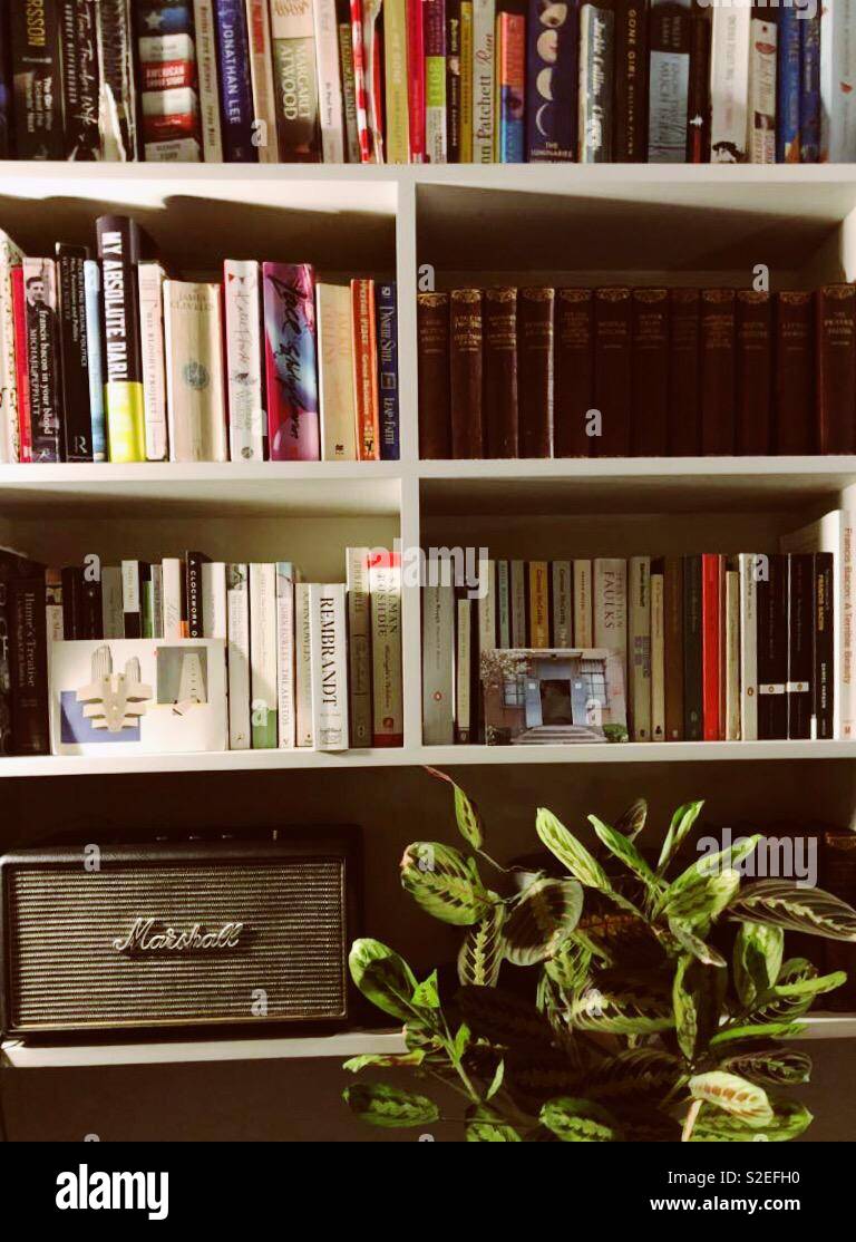 Full white bookshelves with retro marshall speaker and houseplant ...
