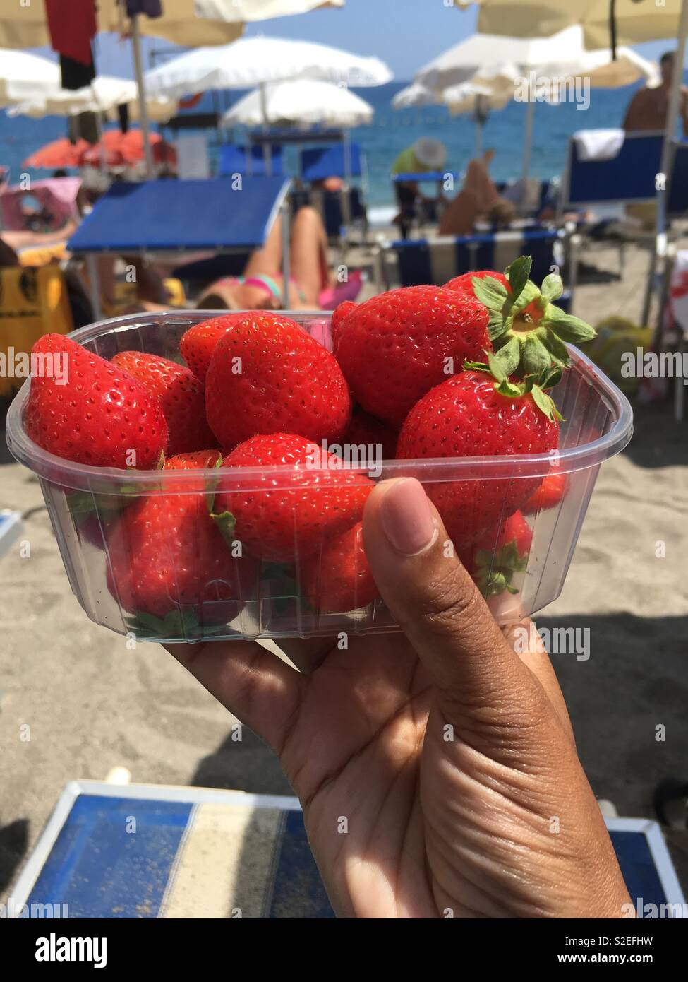 Sea strawberries hi-res stock photography and images - Alamy