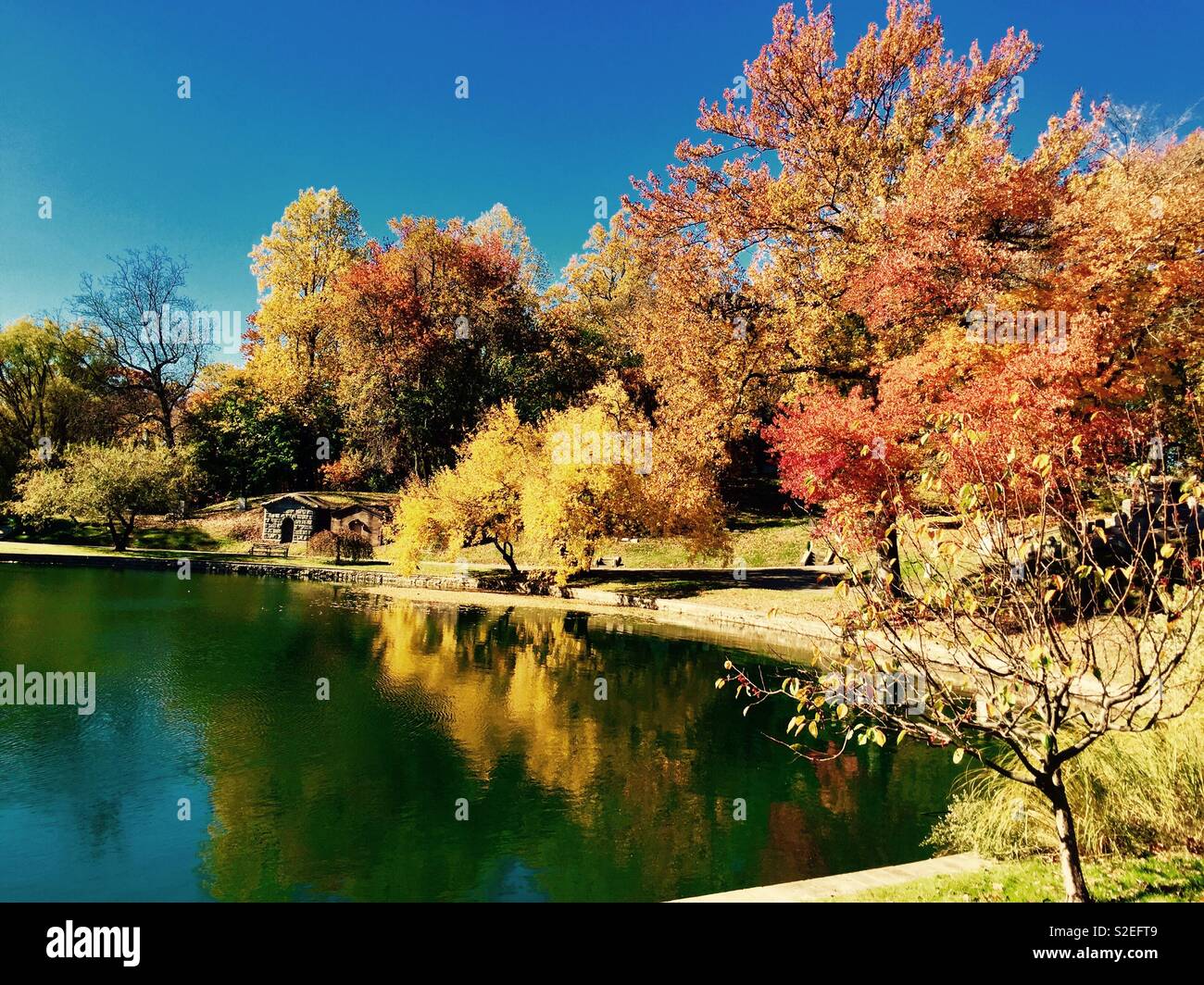 Yellow and orange trees around pond Stock Photo - Alamy