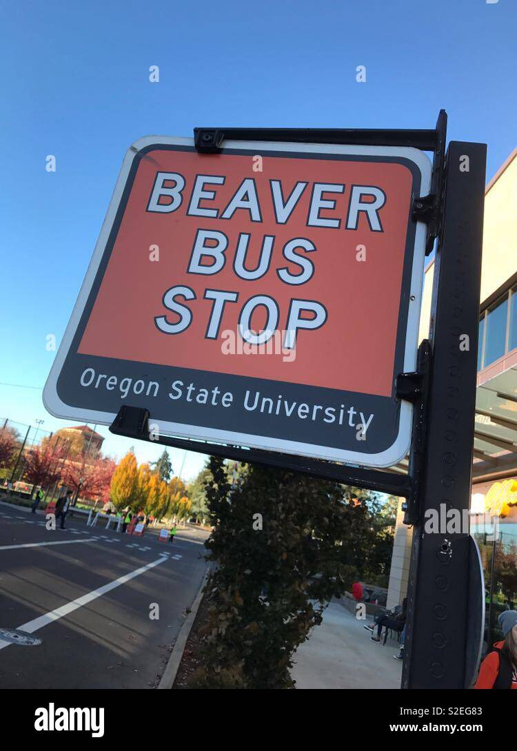 Beaver Bus Stop, Oregon State University. Oregon, USA Stock Photo - Alamy