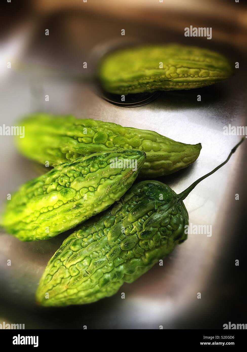 The four bitter melons on the sink Stock Photo - Alamy