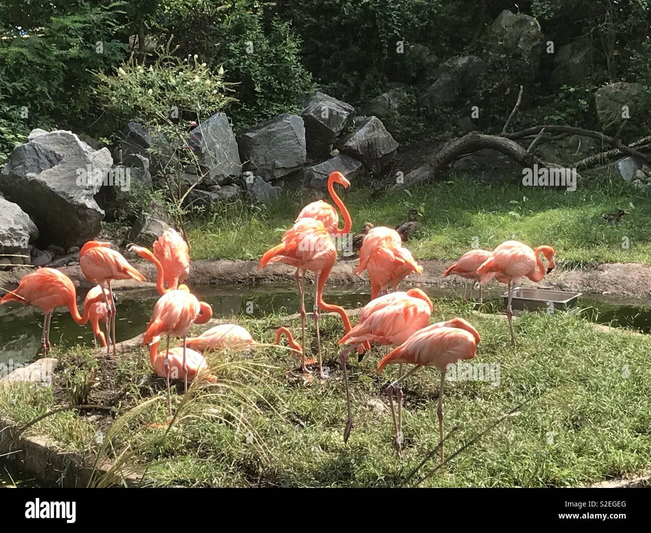 Baltimore zoo hi-res stock photography and images - Alamy