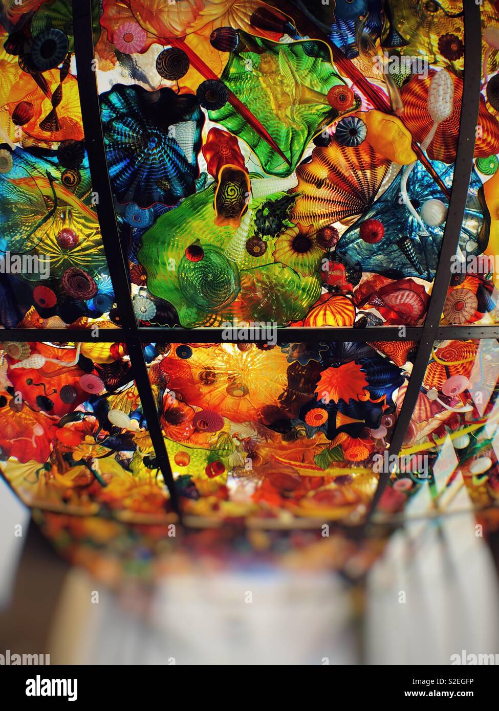 Chihuly glass ceiling with ocean theme in Tacoma WA Stock Photo - Alamy
