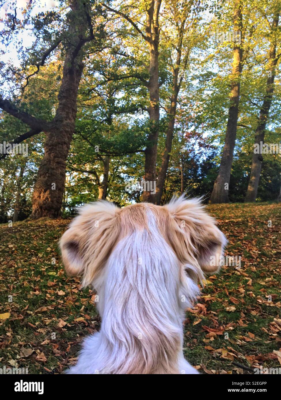 Nature companions hi-res stock photography and images - Alamy