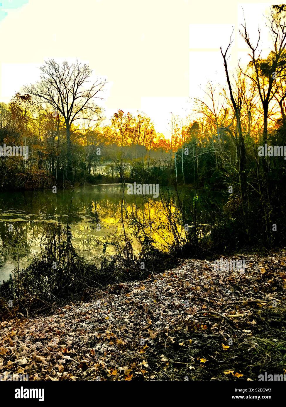 Early morning sunrise over pond Stock Photo - Alamy