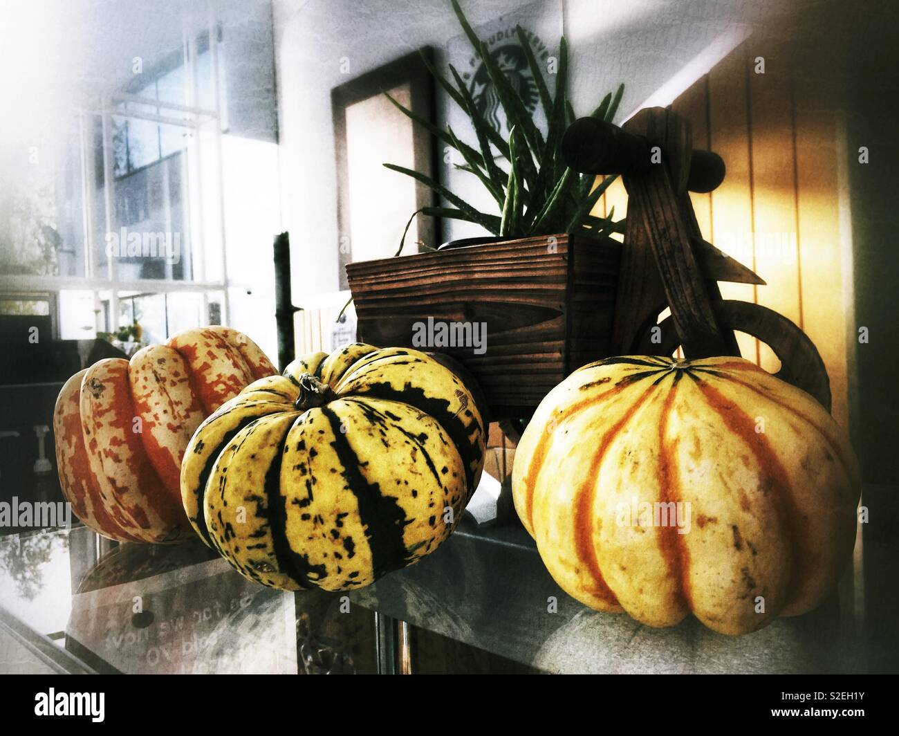 Squash decorate a counter at a work canteen Stock Photo - Alamy