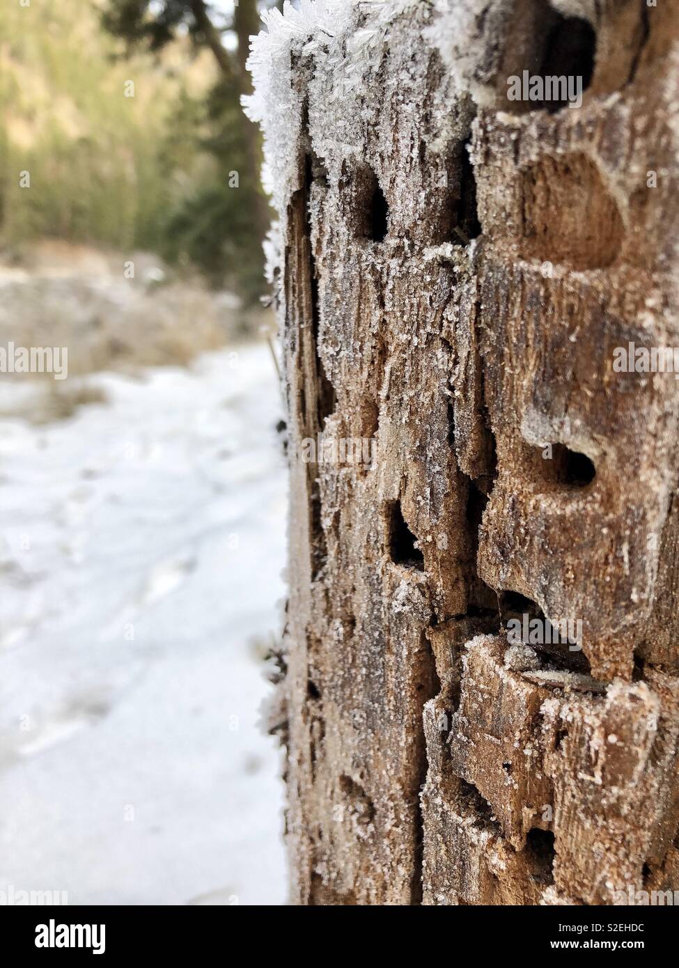 Covered with holes hi-res stock photography and images - Alamy