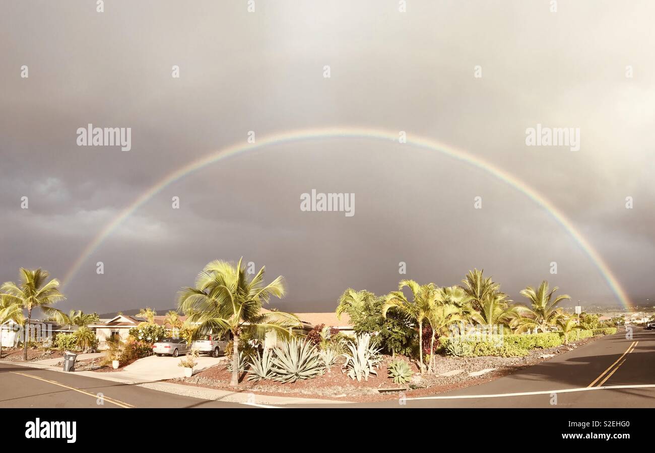Rainbows and palm tree hi-res stock photography and images - Alamy