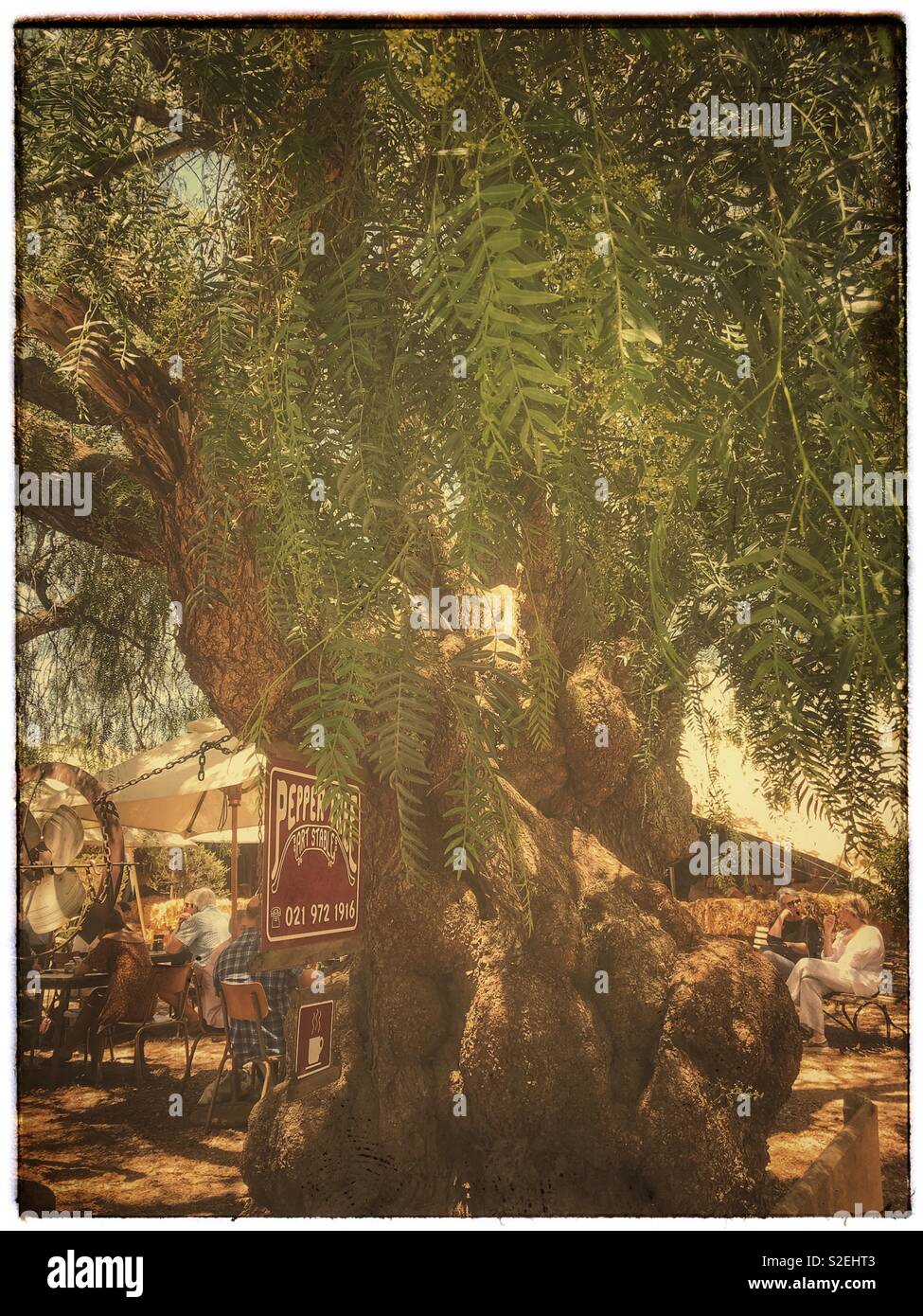 The Pepper Tree restaurant, Philadelphia, South Africa Stock Photo - Alamy