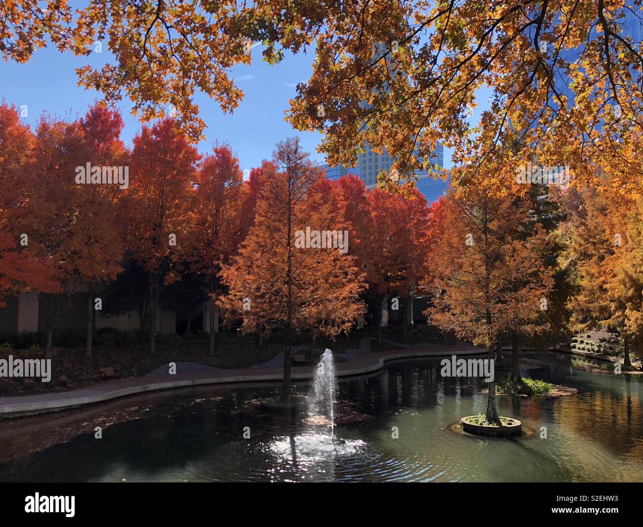 Atlanta trees hi-res stock photography and images - Alamy