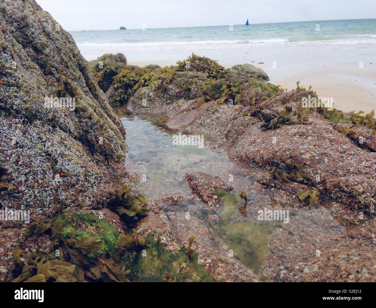 Rock pool on the beach Stock Photo - Alamy