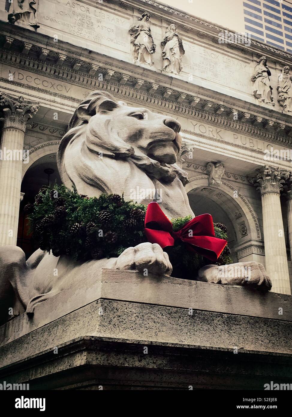 Patience, the library lion wearing his Christmas wreath at the fifth ...
