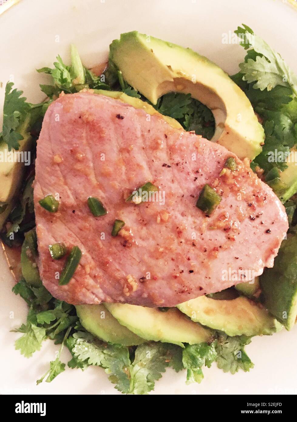 Gourmet entrée of seared yellowfin tuna on a bed of cilantro and fresh ...