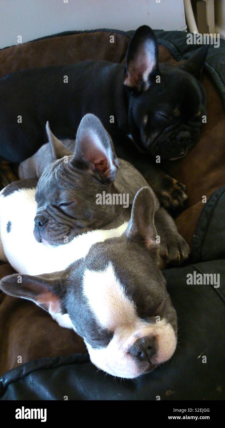 Brothers forever hi-res stock photography and images - Alamy