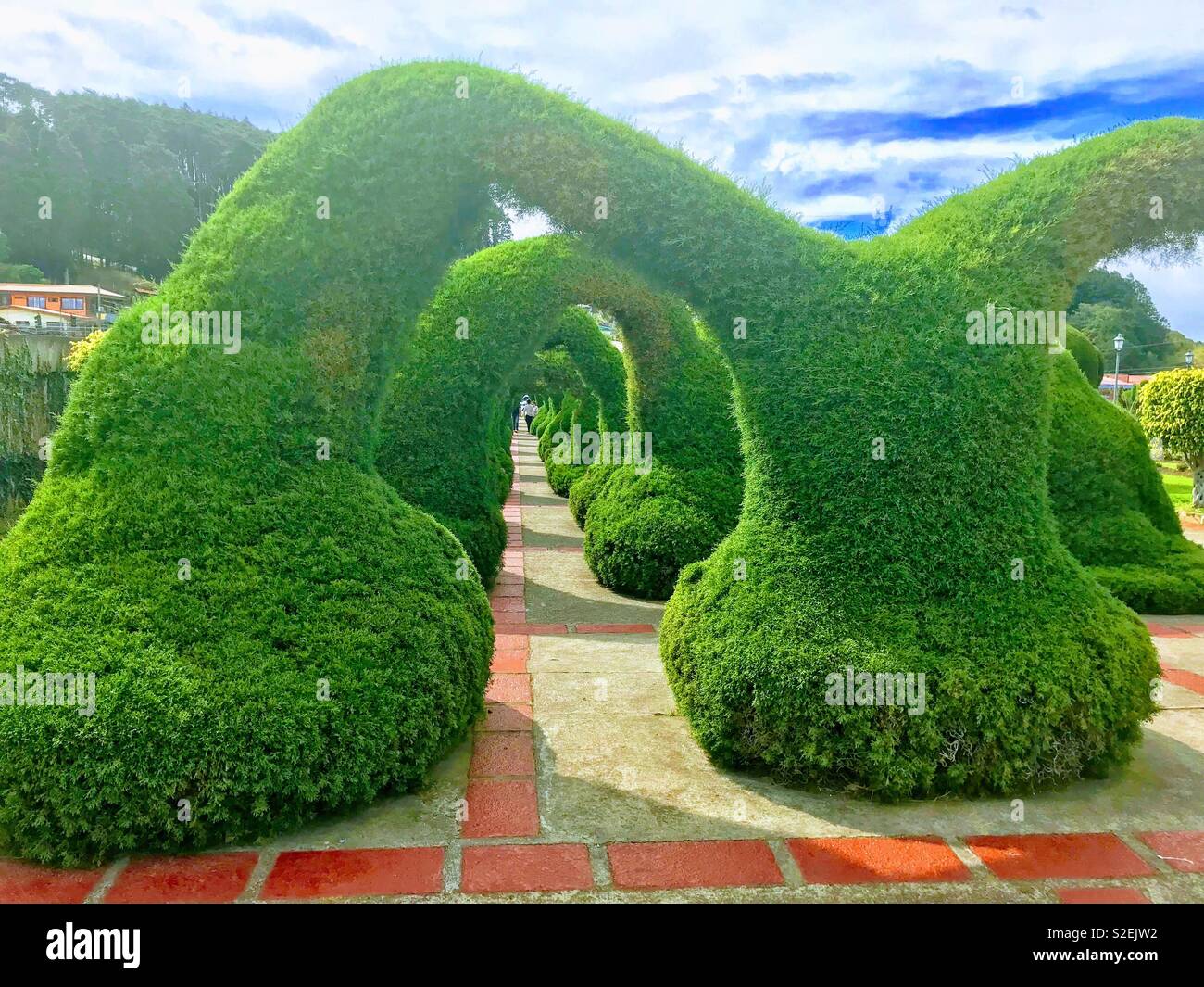 Topiary arches in Costa Rica Stock Photo - Alamy